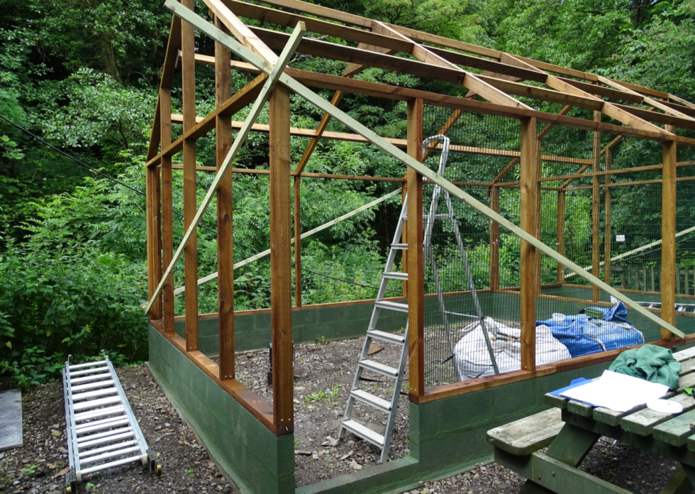 Owl Care - The Barn Owl Trust