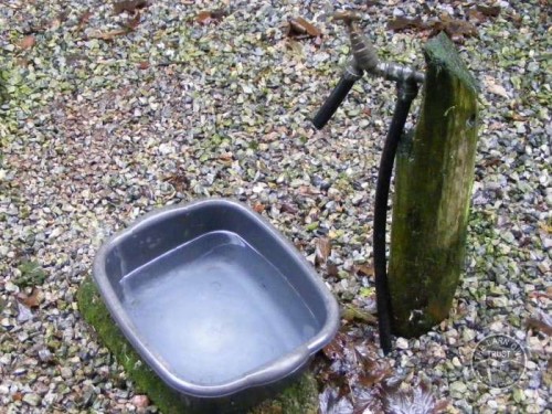 Aviaries for Barn Owls - The Barn Owl Trust