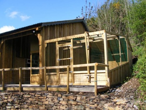 Aviaries for Barn Owls - The Barn Owl Trust